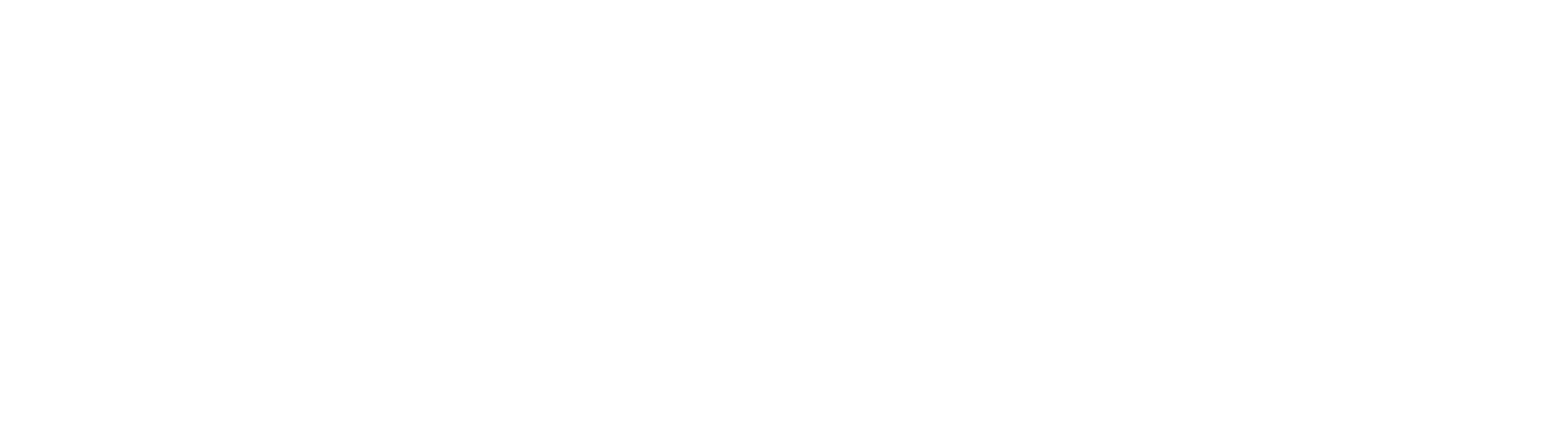 Brand Logos - Nevis Tourism Authority