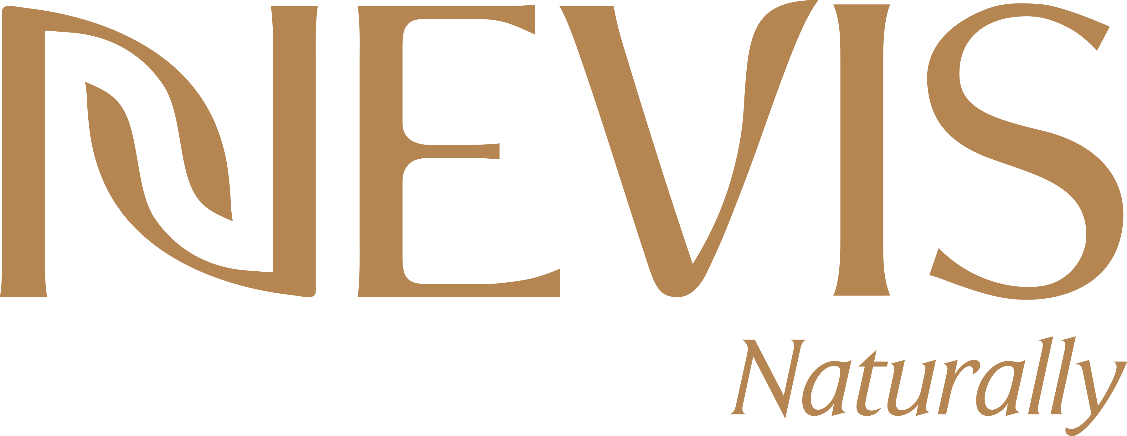 Brand Logos - Nevis Tourism Authority