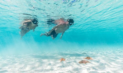 8 Reasons to Visit The Bahamas Right Now - The Official Website of The ...