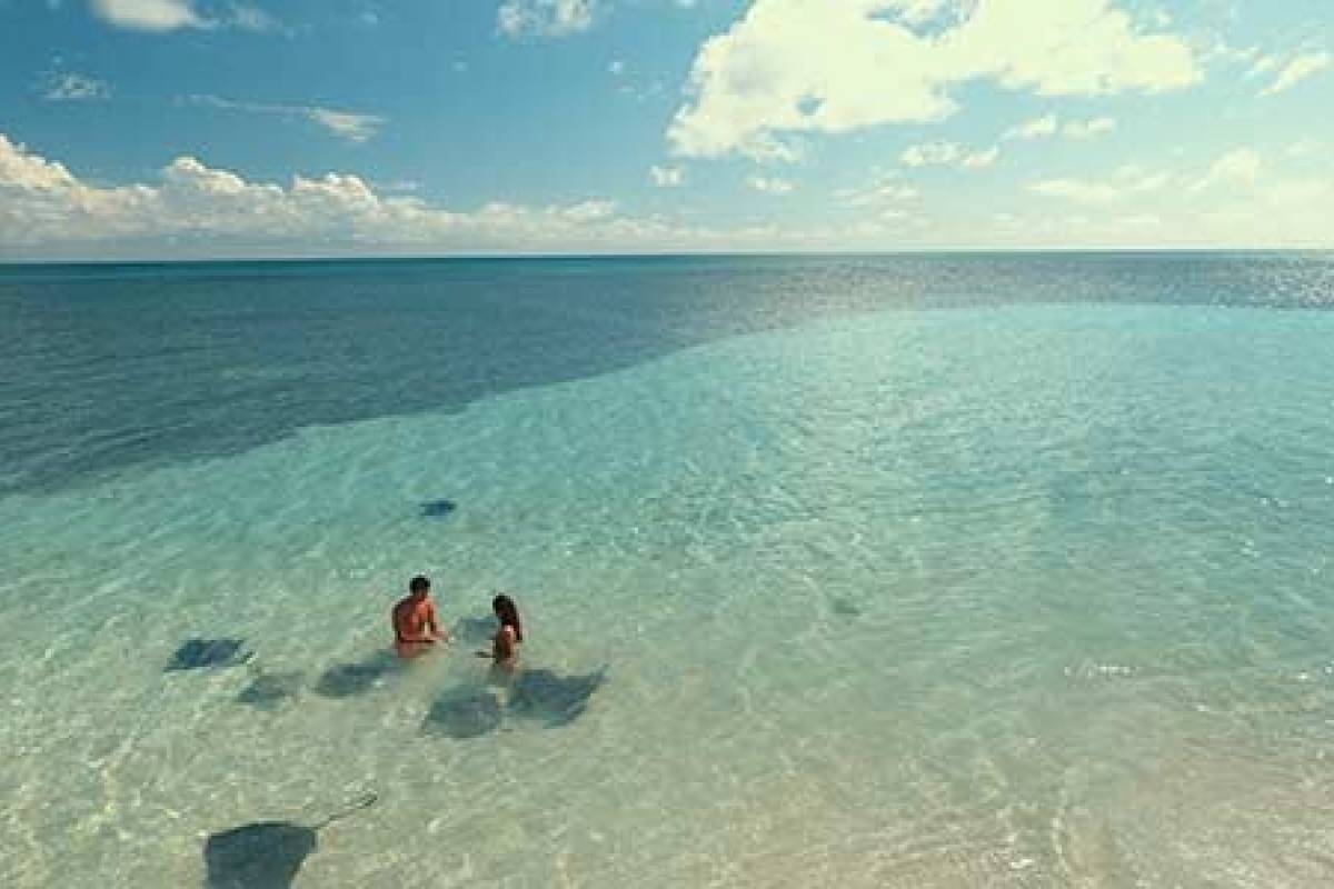 The Magic of Sandy Cay - The Official Website of The Bahamas